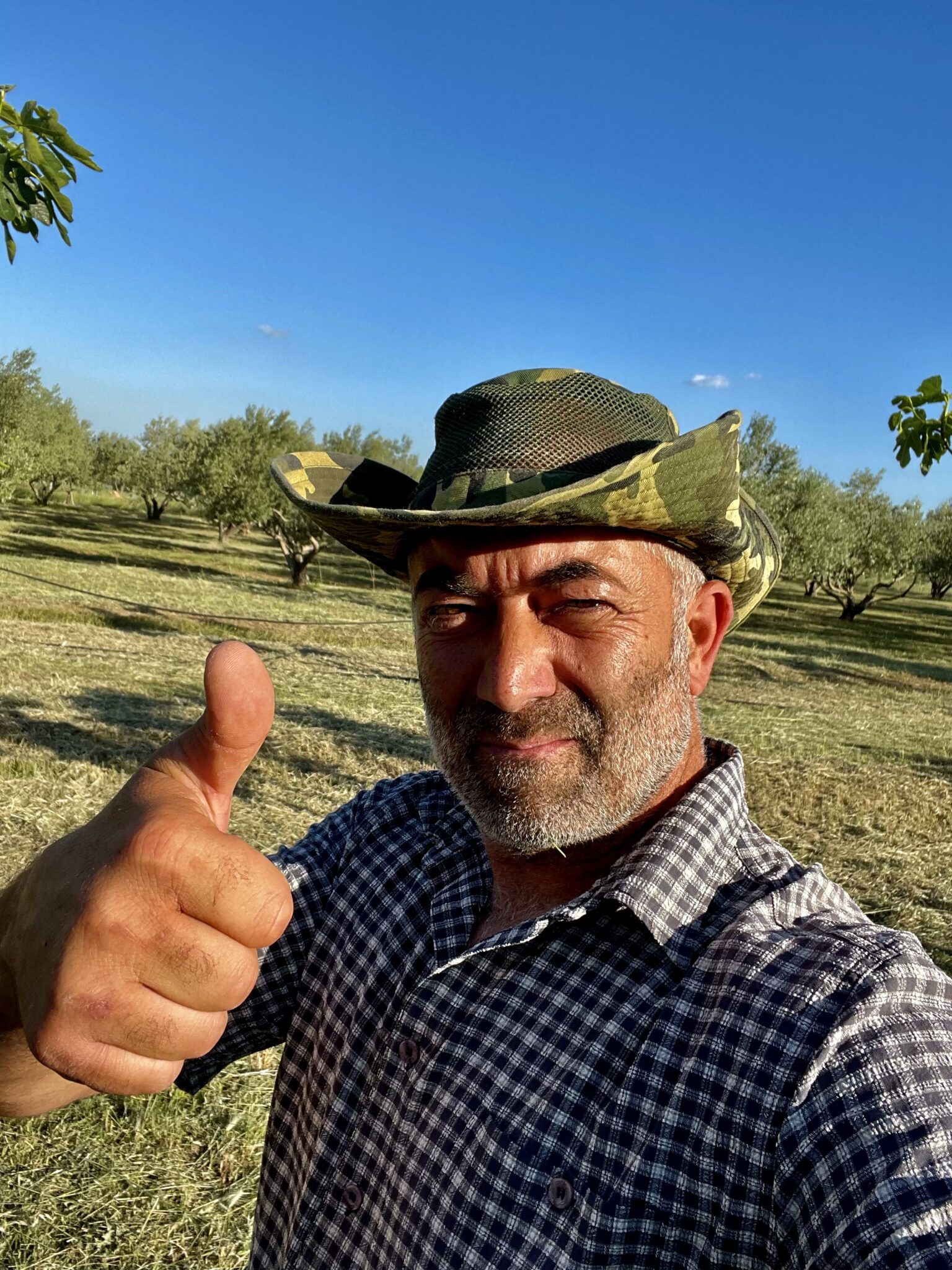 About us – Jacobs Olive